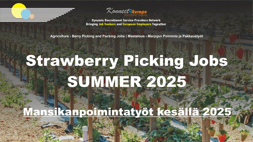 Seasonal Strawberry Picking and Packing Jobs in Finland 2025 - Europe ...